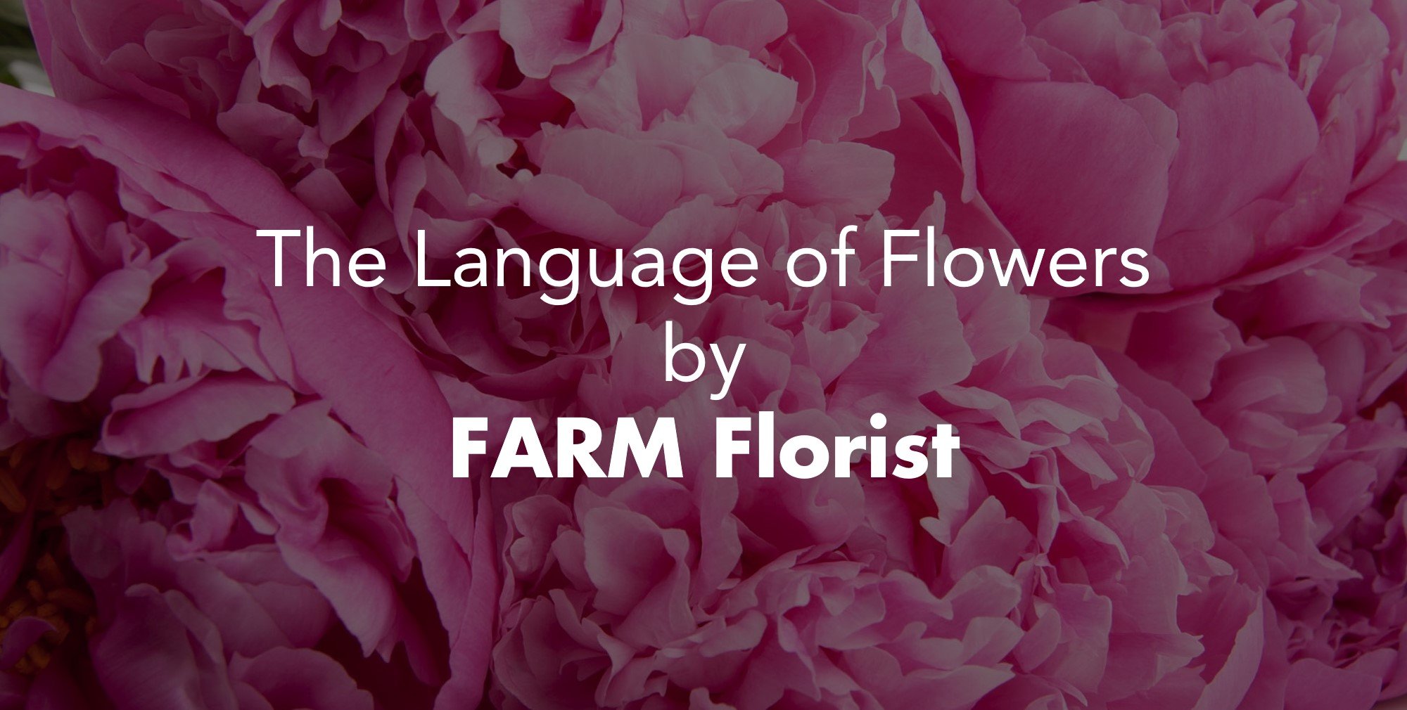 The Language of Flowers - FARM Florist