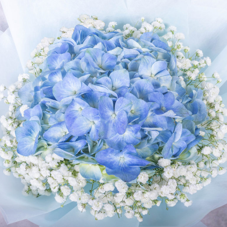 Flower Delivery Singapore | Florist Singapore | Delivery Guarantee