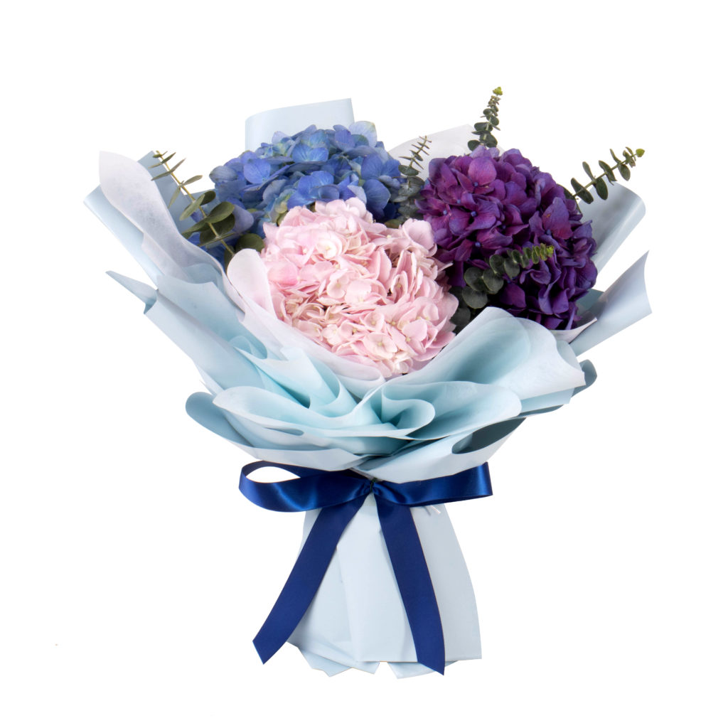 Hydrangeas | Florist Singapore | Bouquets | Flower Delivery Singapore