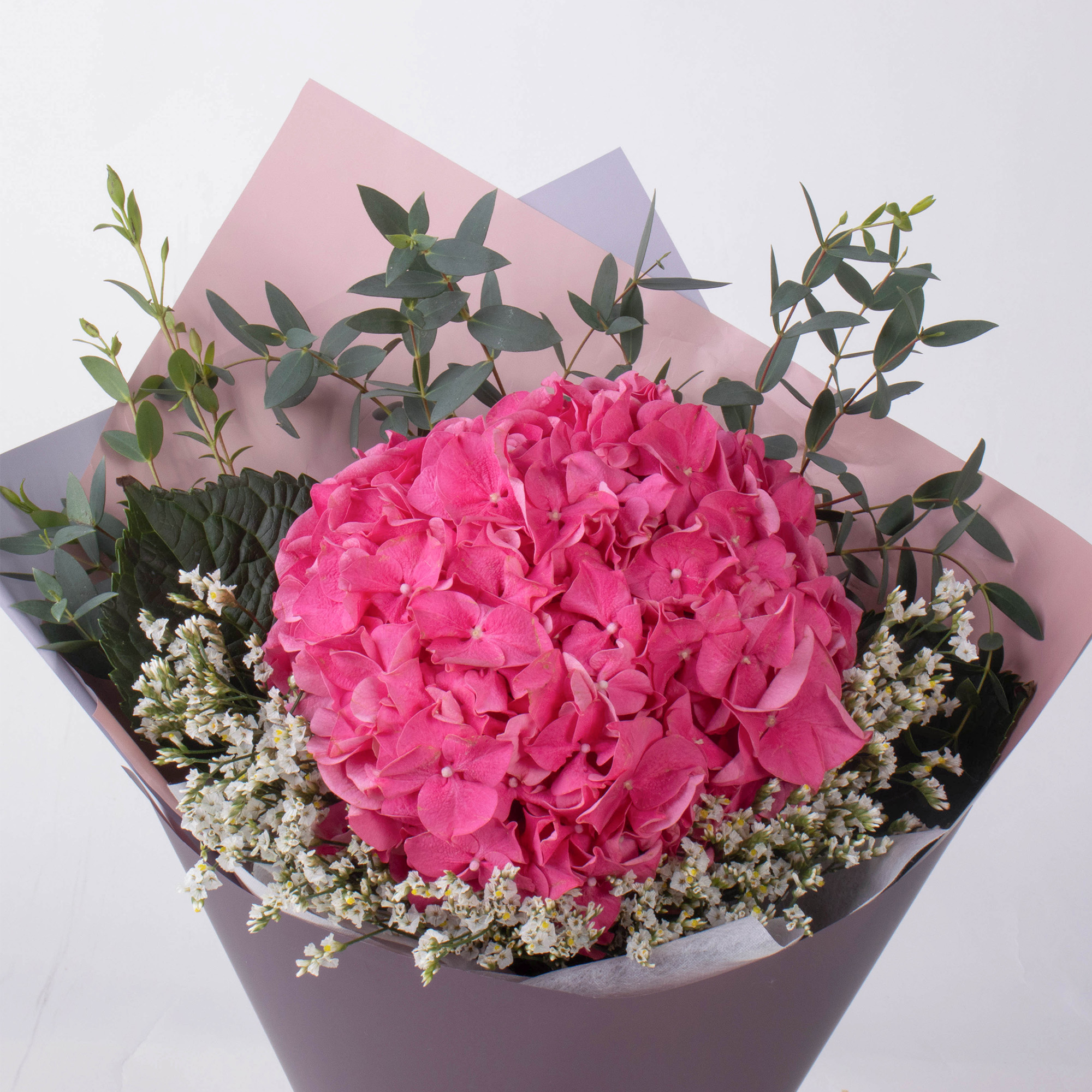 Hydrangeas | Florist Singapore | Bouquets | Flower Delivery Singapore
