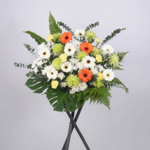 Gerberas | Florist Singapore | Bouquets | Flower Delivery Singapore