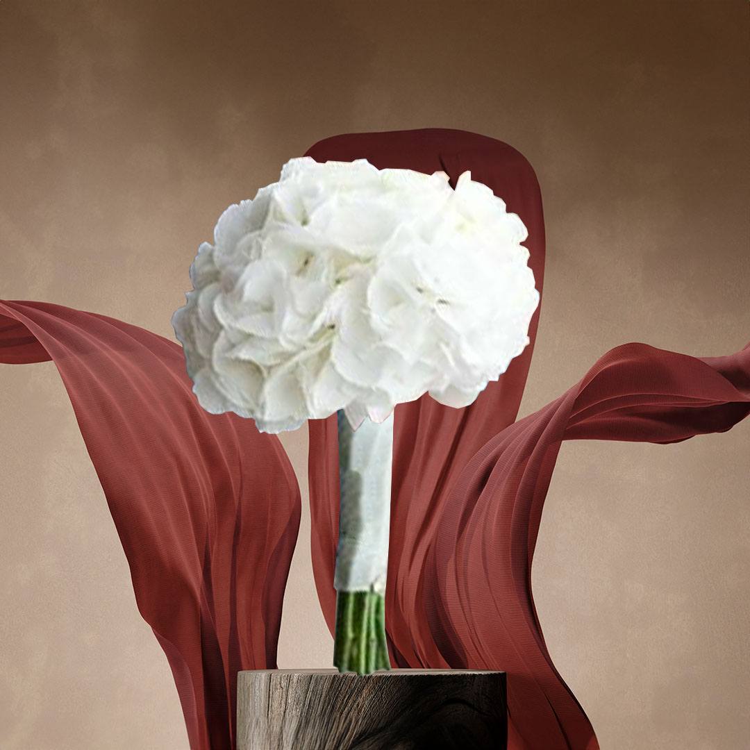 Hydrangeas | Florist Singapore | Bouquets | Flower Delivery Singapore